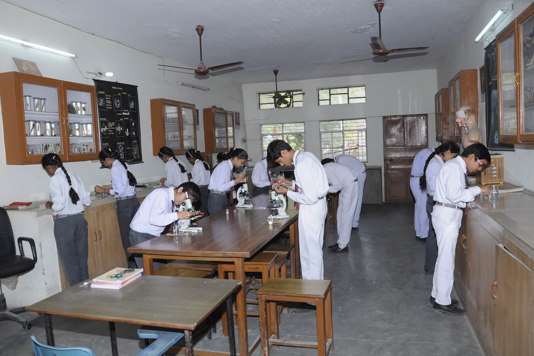 Deepanshu Public School